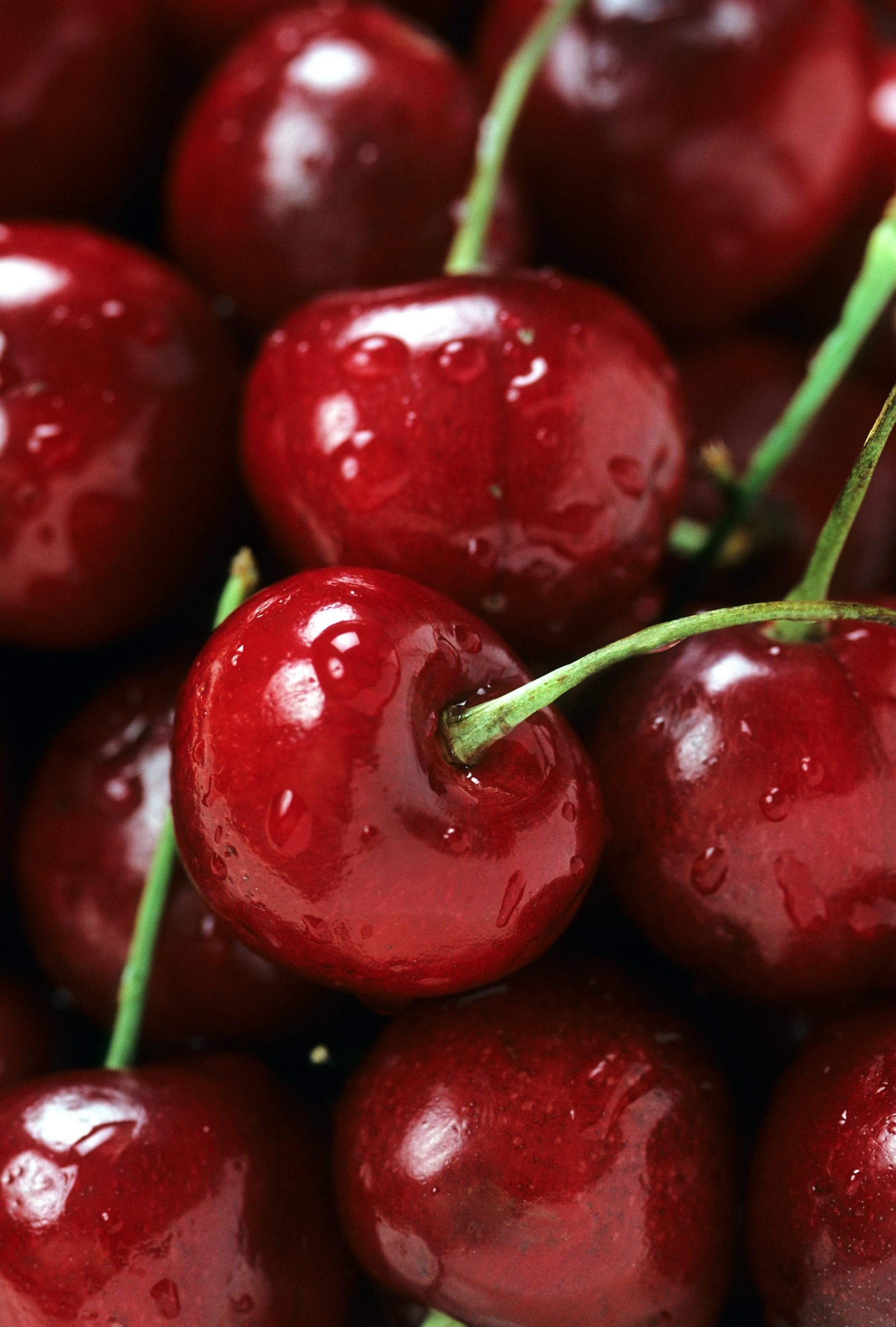 Cerezas de Chile para Asia: cherries cumplen con exigente temporada en ...